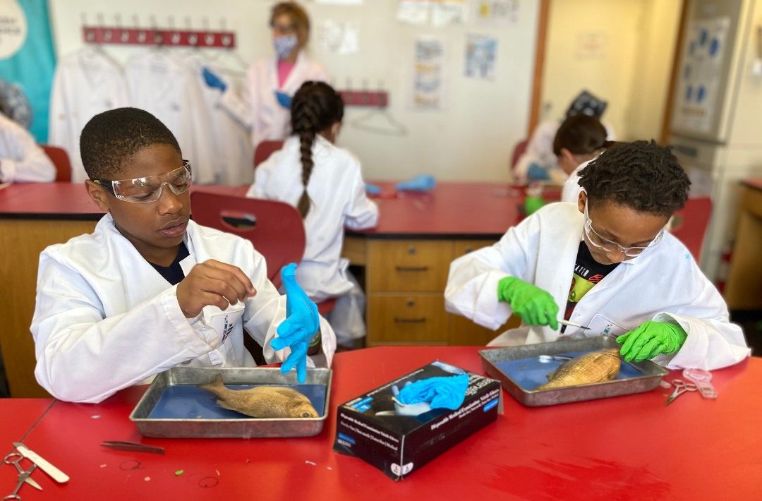 Announcing the 2022 Full Circle Nonprofit Accelerator Cohort! - SVP ...